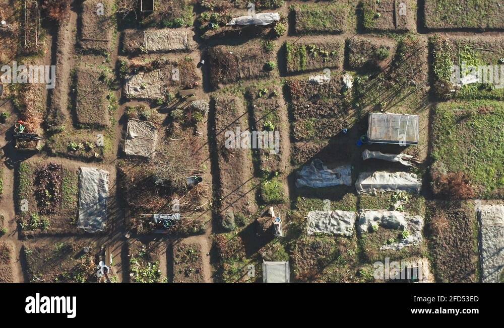 Allotment aerial Stock Videos & Footage - HD and 4K Video Clips - Alamy