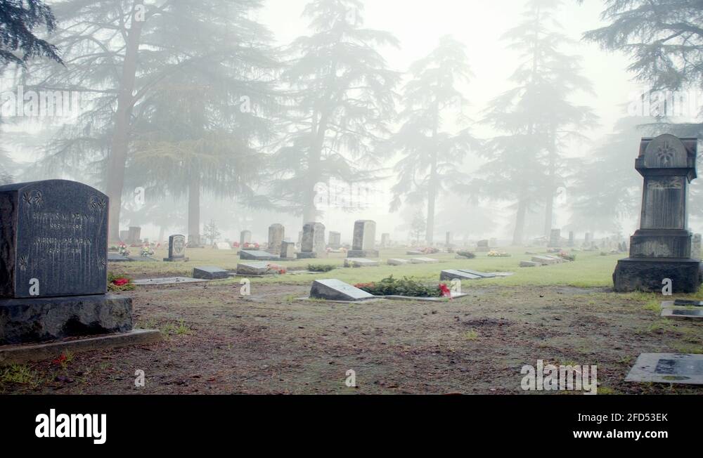 Peaceful cemetery Stock Videos & Footage - HD and 4K Video Clips - Alamy