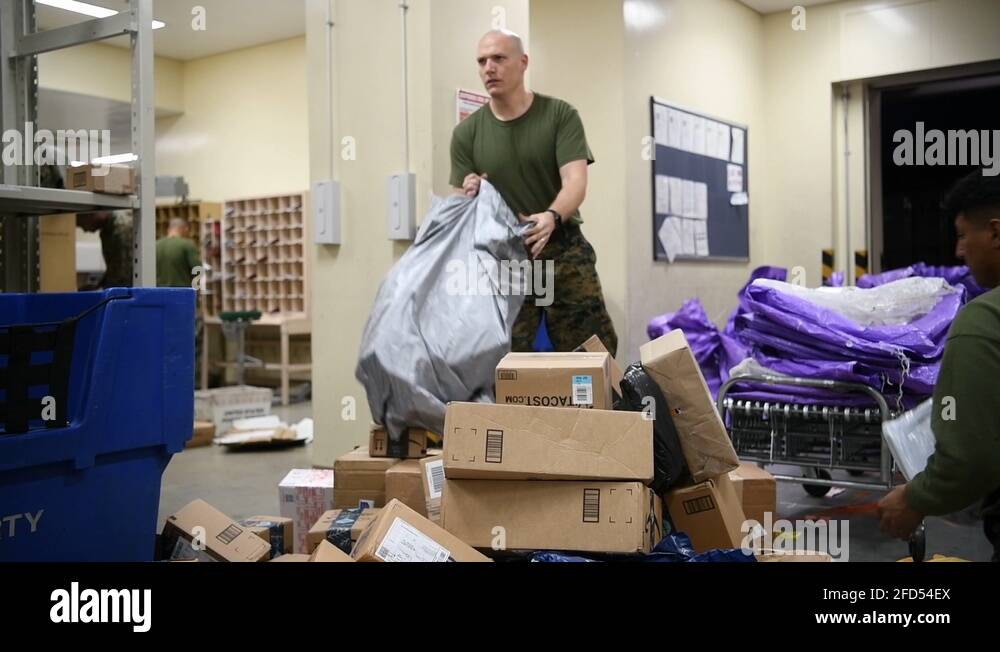 Emptying mail post box Stock Videos & Footage - HD and 4K Video Clips ...