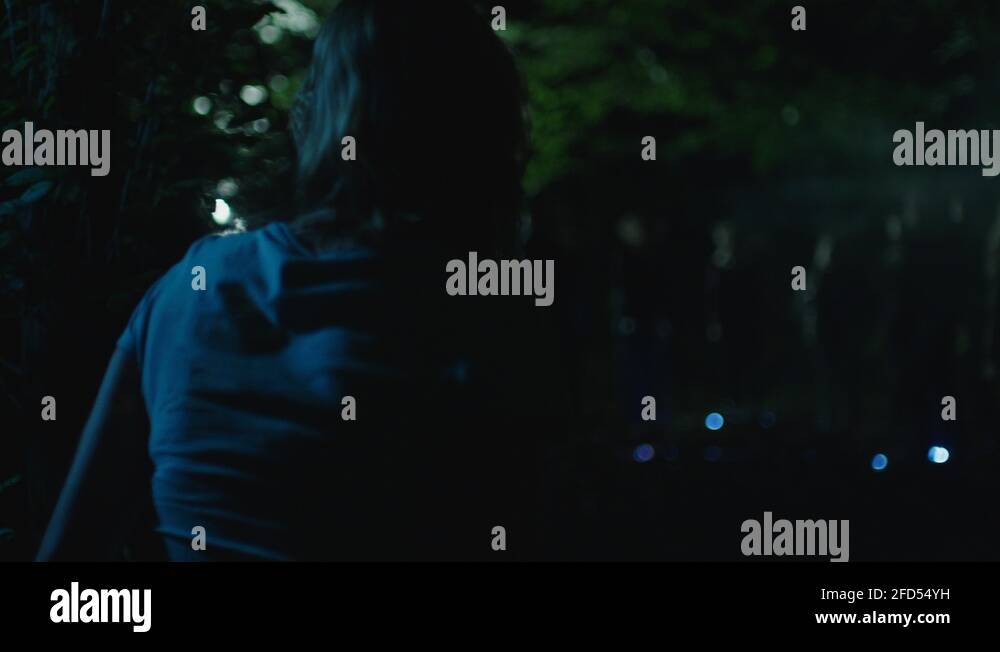 Woman forest night Stock Videos & Footage - HD and 4K Video Clips - Alamy