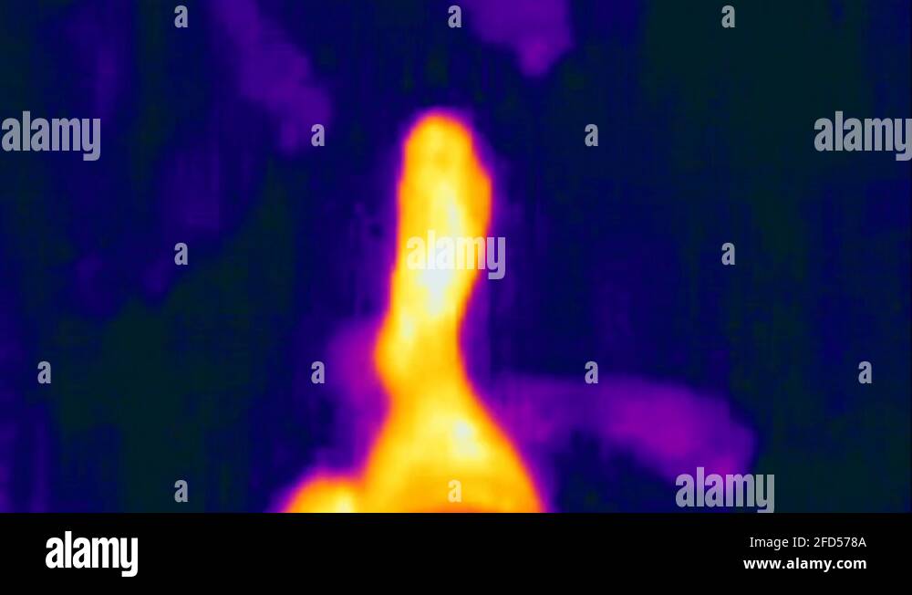 Infrared Thermal Footprints On Floor Of Man Walking Forward Then ...