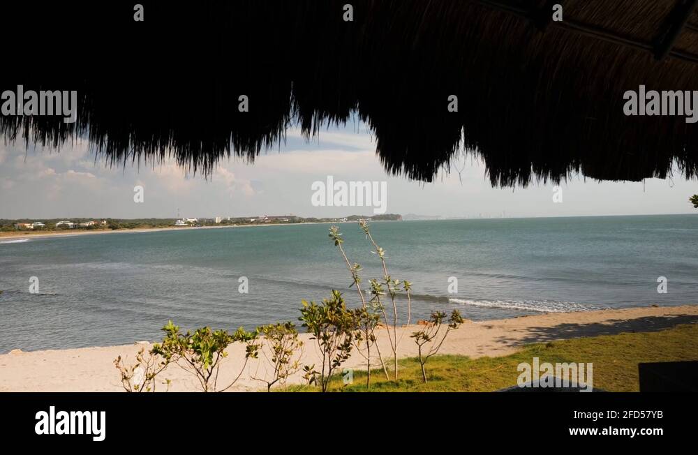 Sea greenery Stock Videos & Footage - HD and 4K Video Clips - Alamy