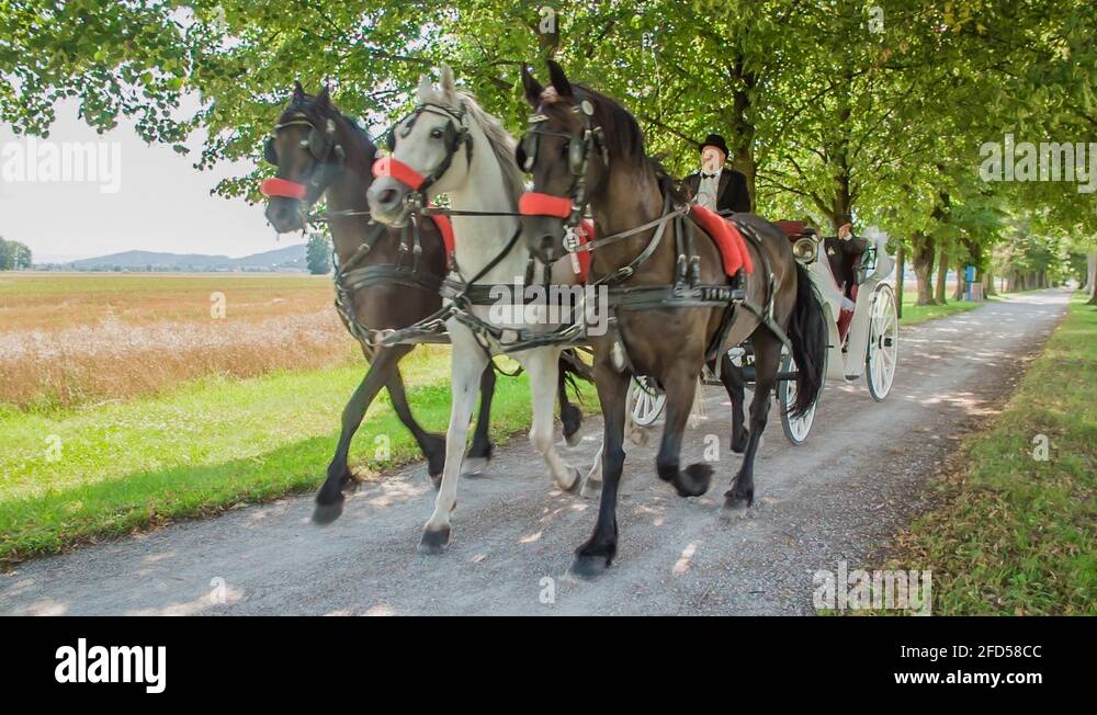 Men pulling carriage Stock Videos & Footage - HD and 4K Video Clips - Alamy