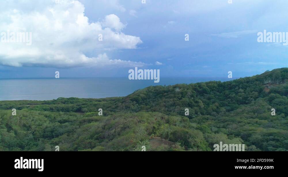 Tropical island trees Stock Videos & Footage - HD and 4K Video Clips ...