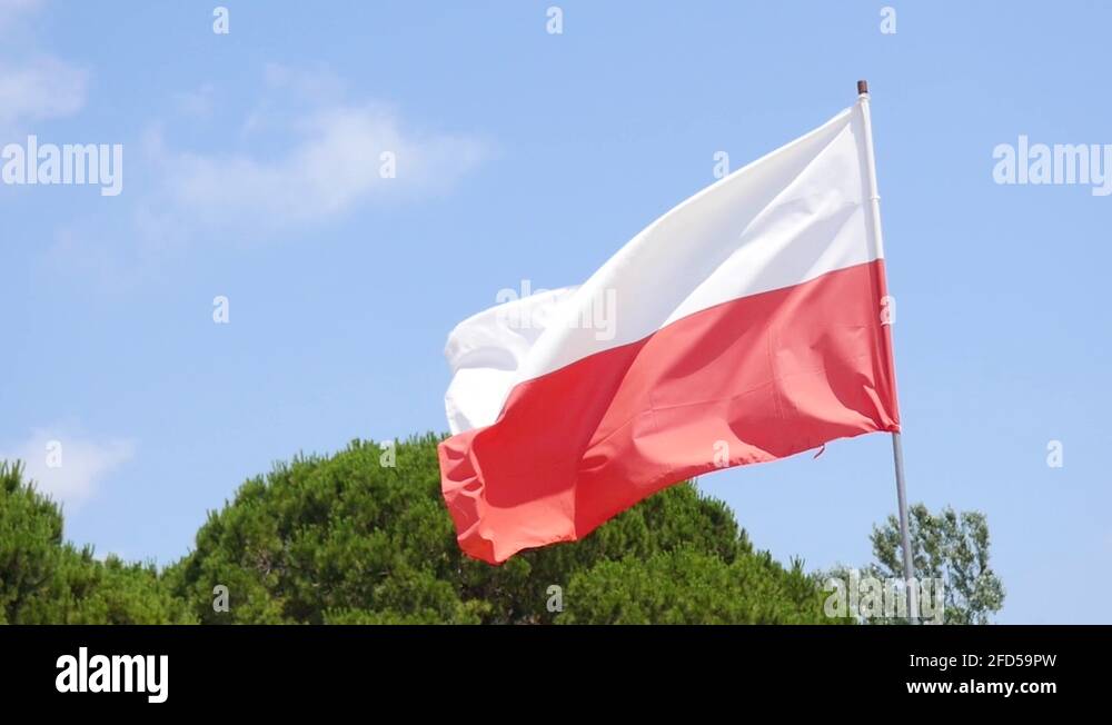 Flaga polska Stock Videos & Footage - HD and 4K Video Clips - Alamy