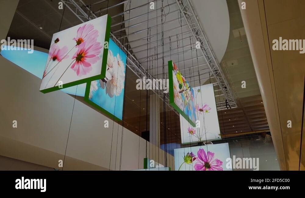 Flower panel Stock Videos & Footage - HD and 4K Video Clips - Alamy