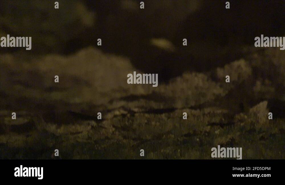 Stacked up bones Stock Videos & Footage - HD and 4K Video Clips - Alamy