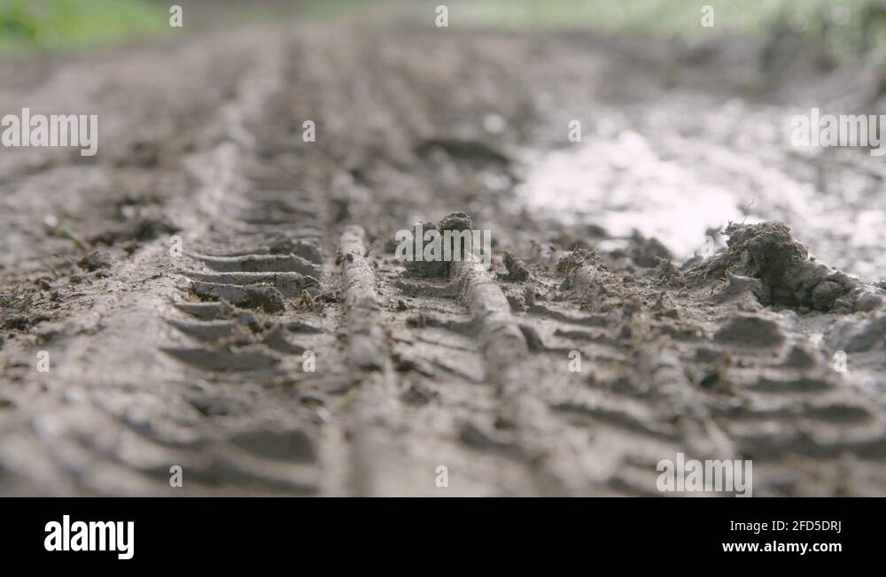 Tire tracks in mud Stock Videos & Footage - HD and 4K Video Clips - Alamy
