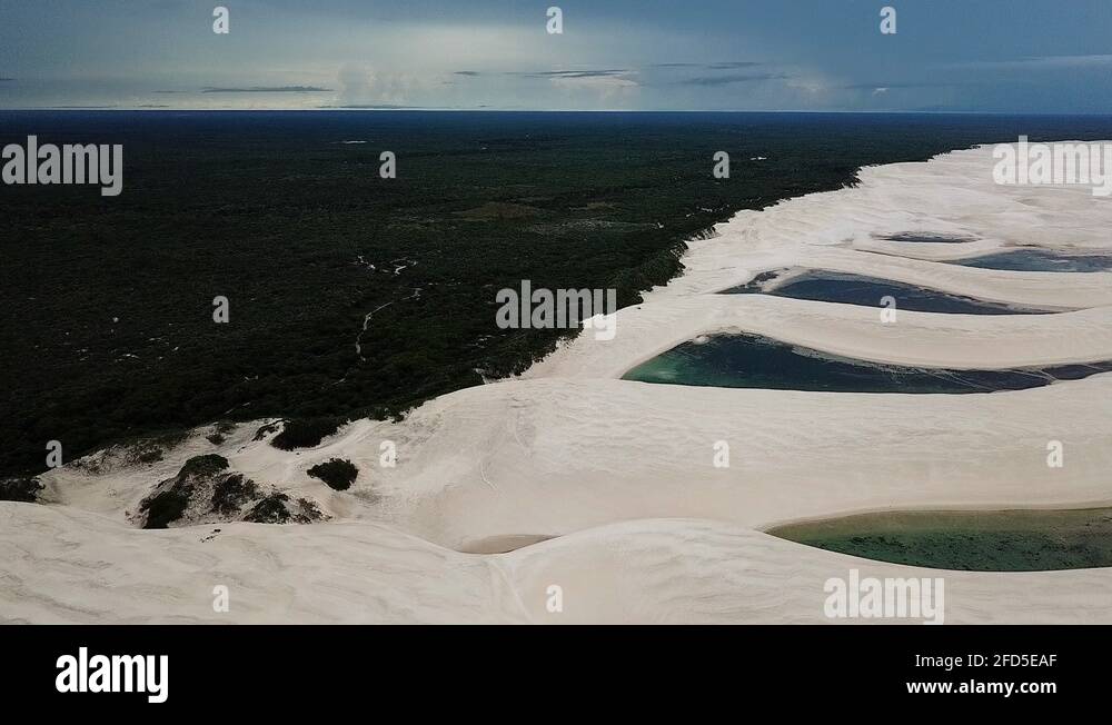 Biome rainforest Stock Videos & Footage - HD and 4K Video Clips - Alamy