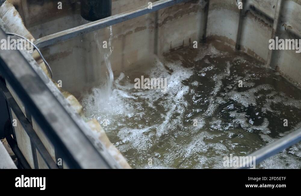 Ibc container Stock Videos & Footage - HD and 4K Video Clips - Alamy