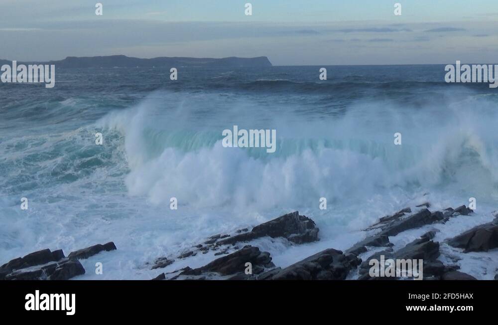 Newfoundland rocks Stock Videos & Footage - HD and 4K Video Clips - Alamy