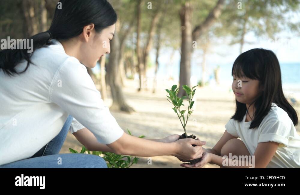 Forest planting concept. Families are helping to grow trees to protect ...