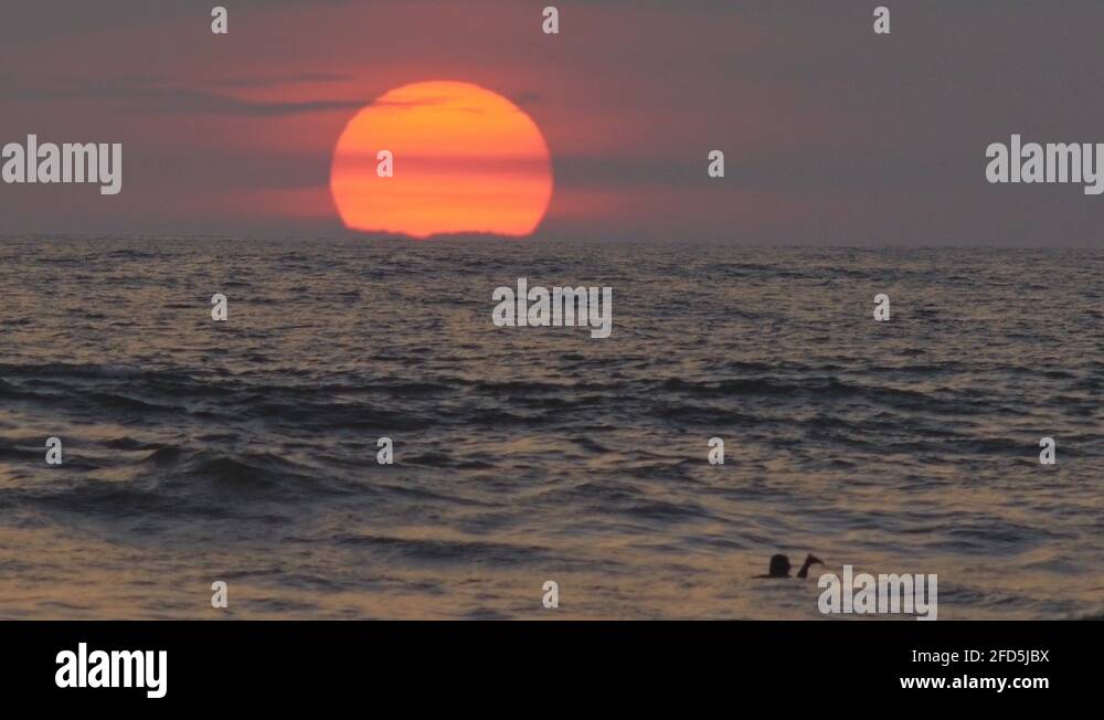 Surfer silhouette appear and disappear over wave, big orange sun set ...