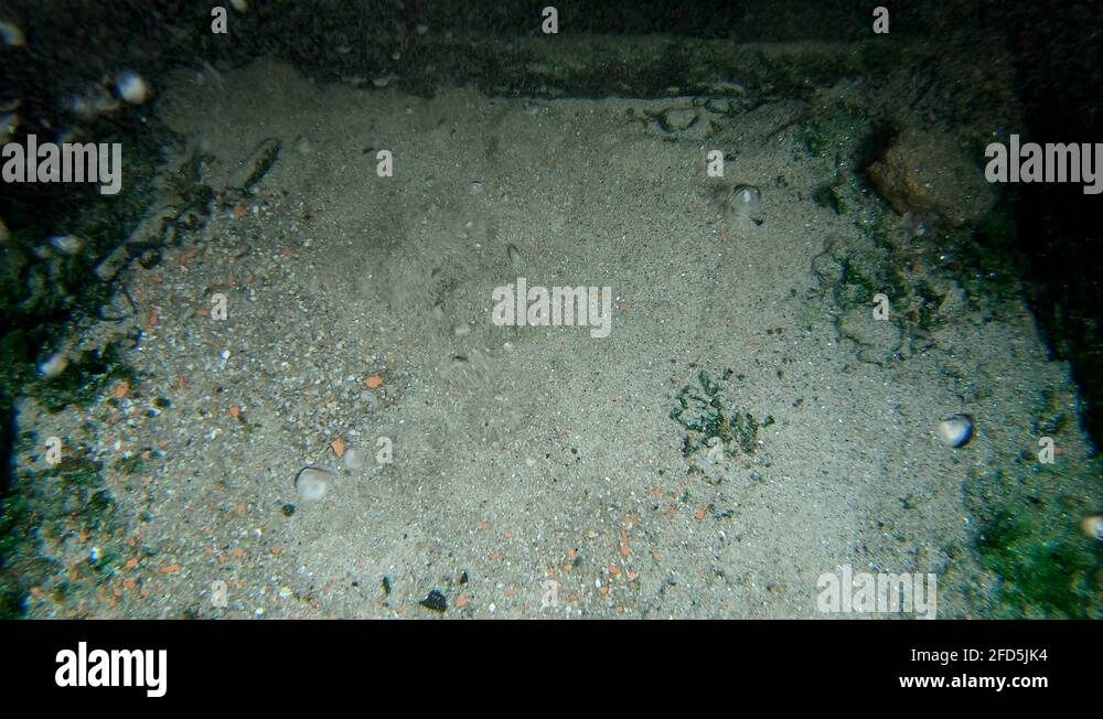 Bubbles rise from floor of underwater hot springs in Bande, Spain ...
