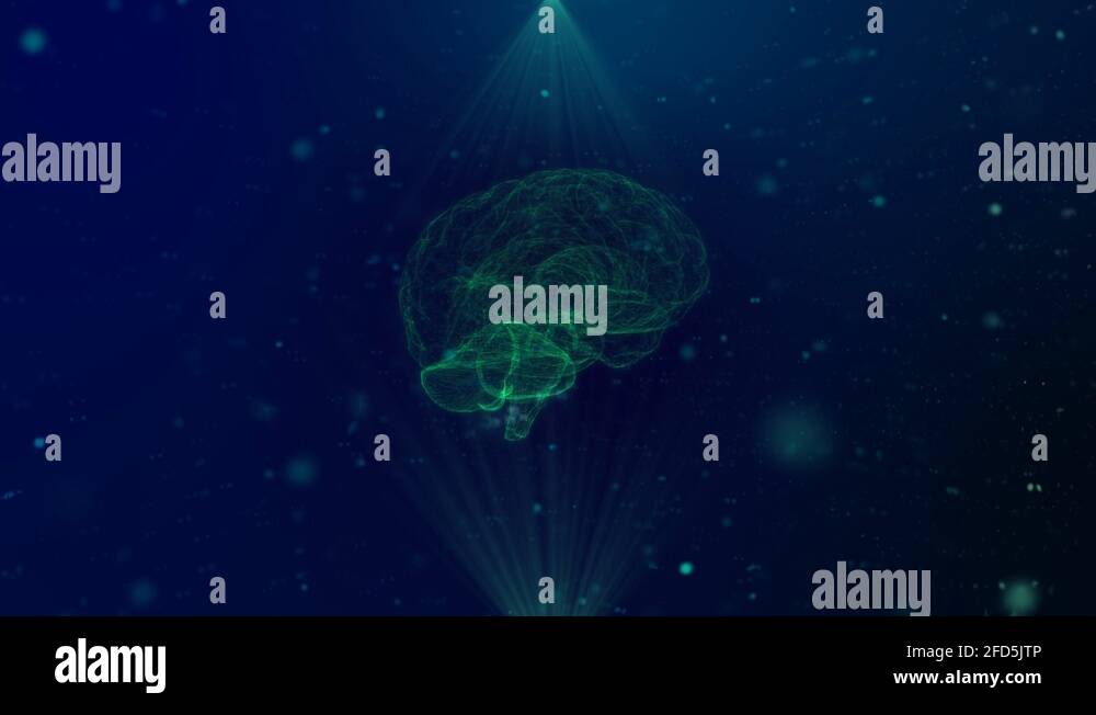 Map of the system of human knowledge Stock Videos & Footage - HD and 4K ...