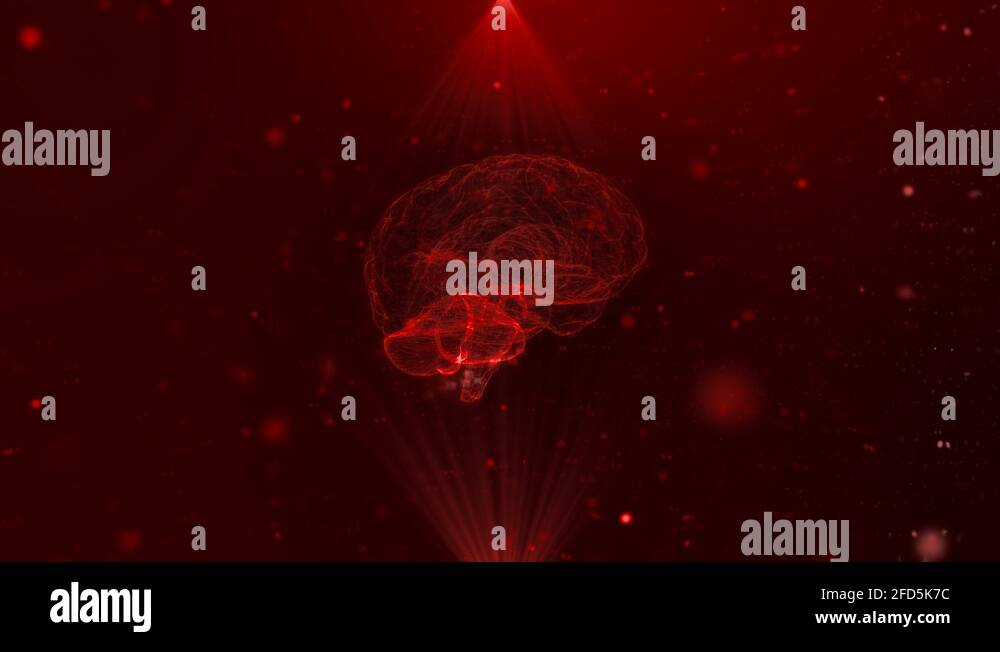 Model of the human brain. Rotates 360 degrees. 3D rendering. Animated ...