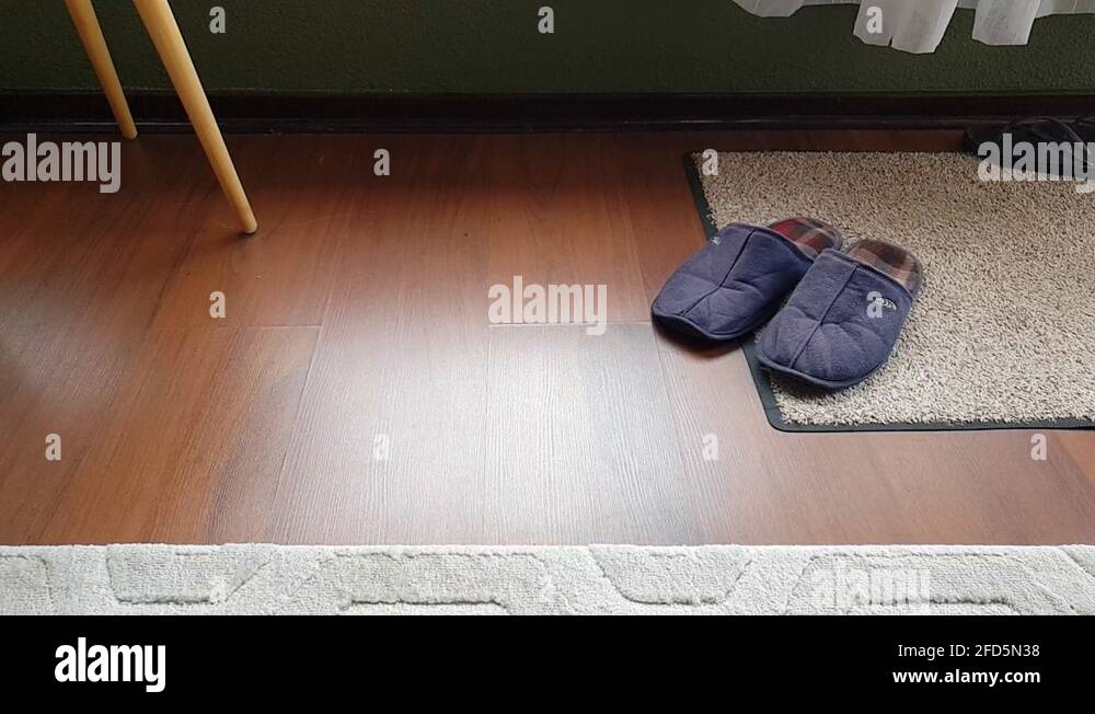 Carpet slide Stock Videos & Footage - HD and 4K Video Clips - Alamy