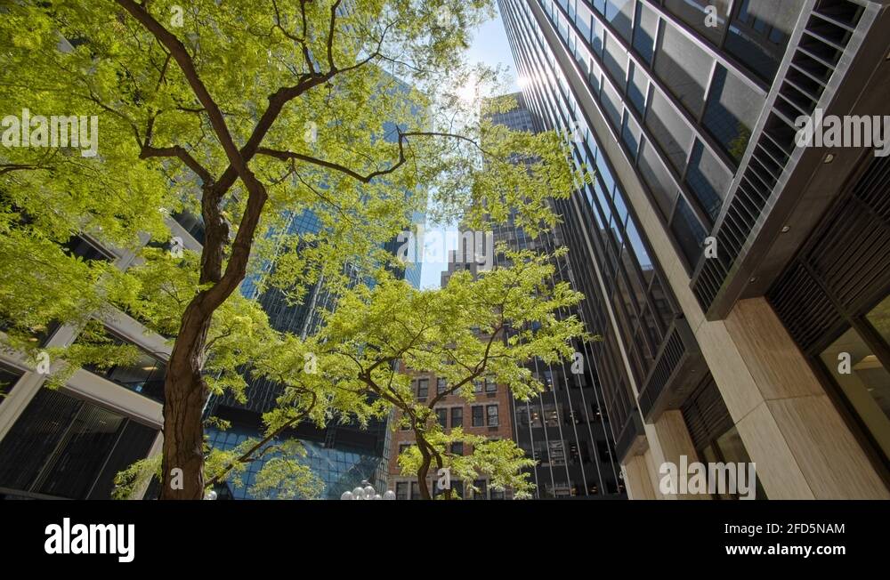 Gleaming skyscrapers Stock Videos & Footage - HD and 4K Video Clips - Alamy