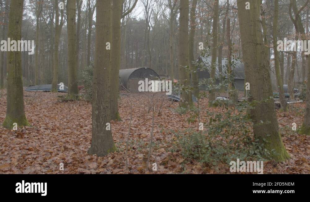 Buildings in forest Stock Videos & Footage - HD and 4K Video Clips - Alamy