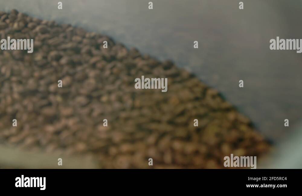 Coffee testing Stock Videos & Footage - HD and 4K Video Clips - Alamy