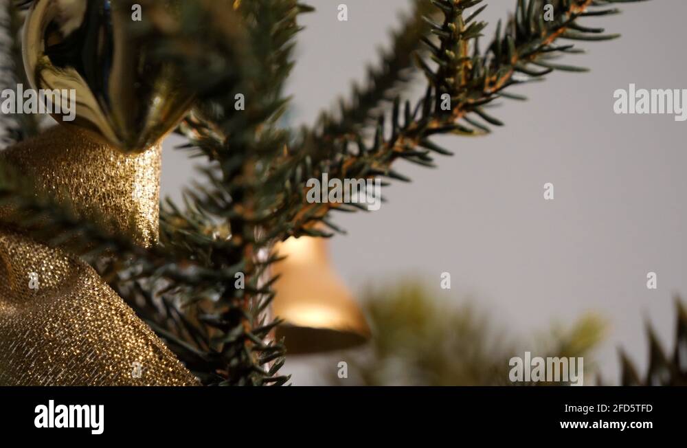 Gold heart tree Stock Videos & Footage - HD and 4K Video Clips - Alamy