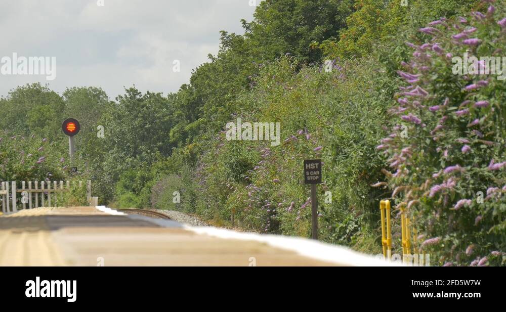 Bush tracks Stock Videos & Footage - HD and 4K Video Clips - Alamy