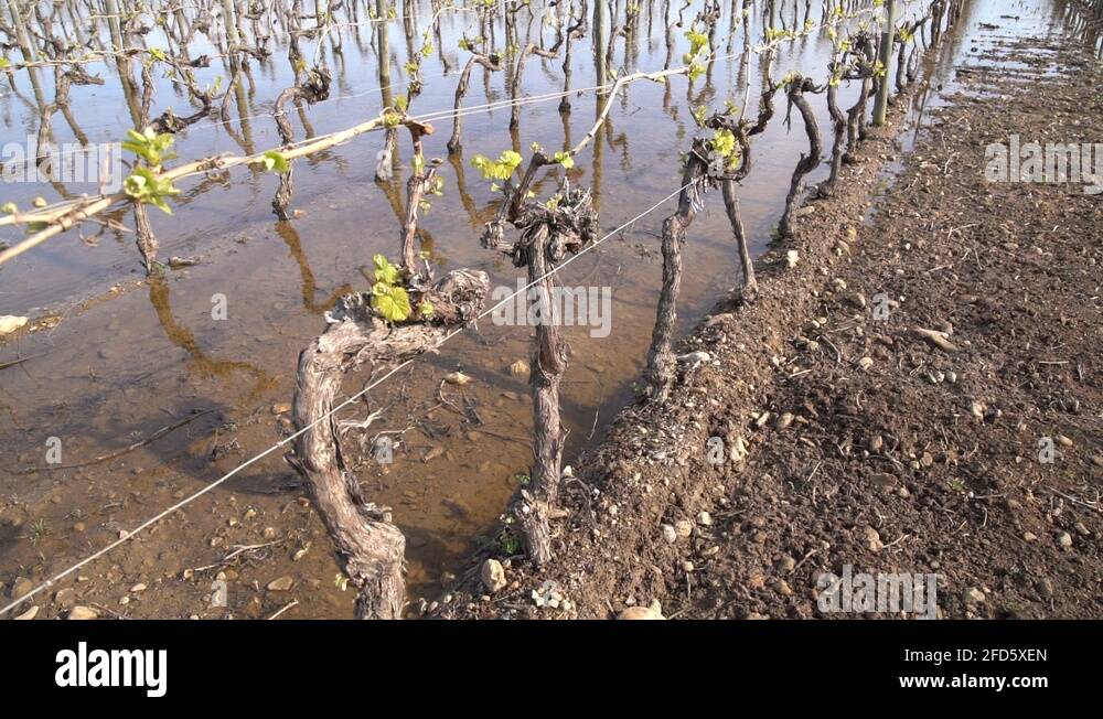 Submersion Stock Videos & Footage - HD and 4K Video Clips - Alamy