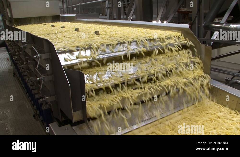 French fries fly through the sorting machine. frites on a conveyor line ...