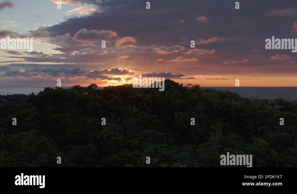 Island sunset palm tree Stock Videos & Footage - HD and 4K Video Clips ...