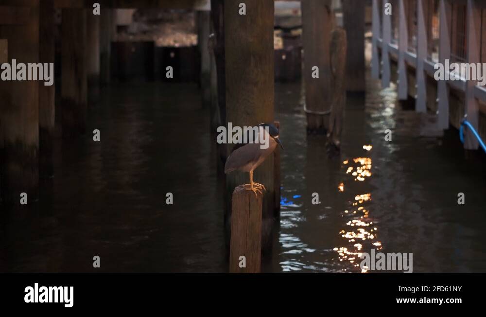 Column under Stock Videos & Footage - HD and 4K Video Clips - Alamy