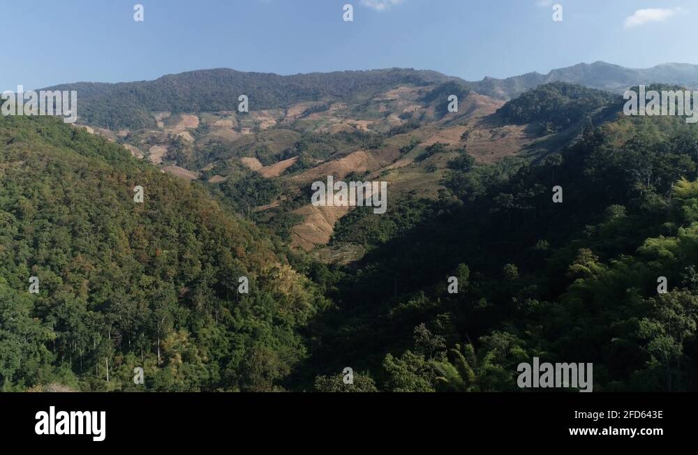 Southeast asia forest Stock Videos & Footage - HD and 4K Video Clips ...