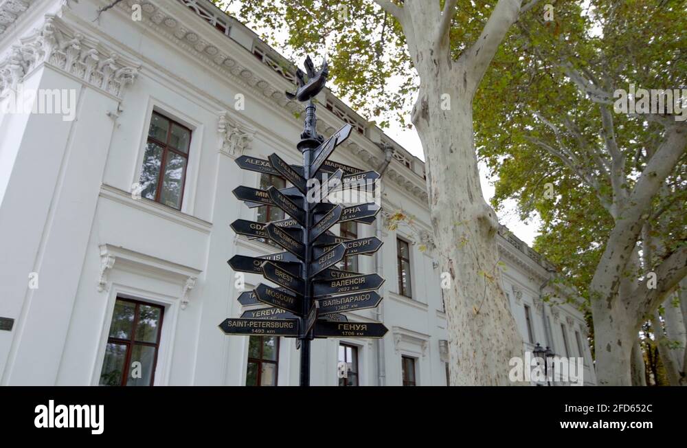 Sign trees for cities Stock Videos & Footage - HD and 4K Video Clips ...