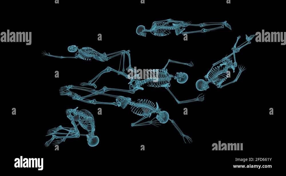 Human skeletons anatomy Stock Videos & Footage - HD and 4K Video Clips ...