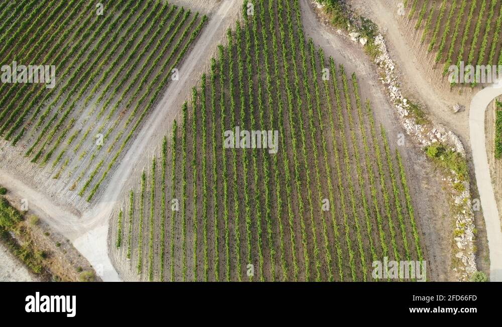 Vertical shoot Stock Videos & Footage - HD and 4K Video Clips - Alamy