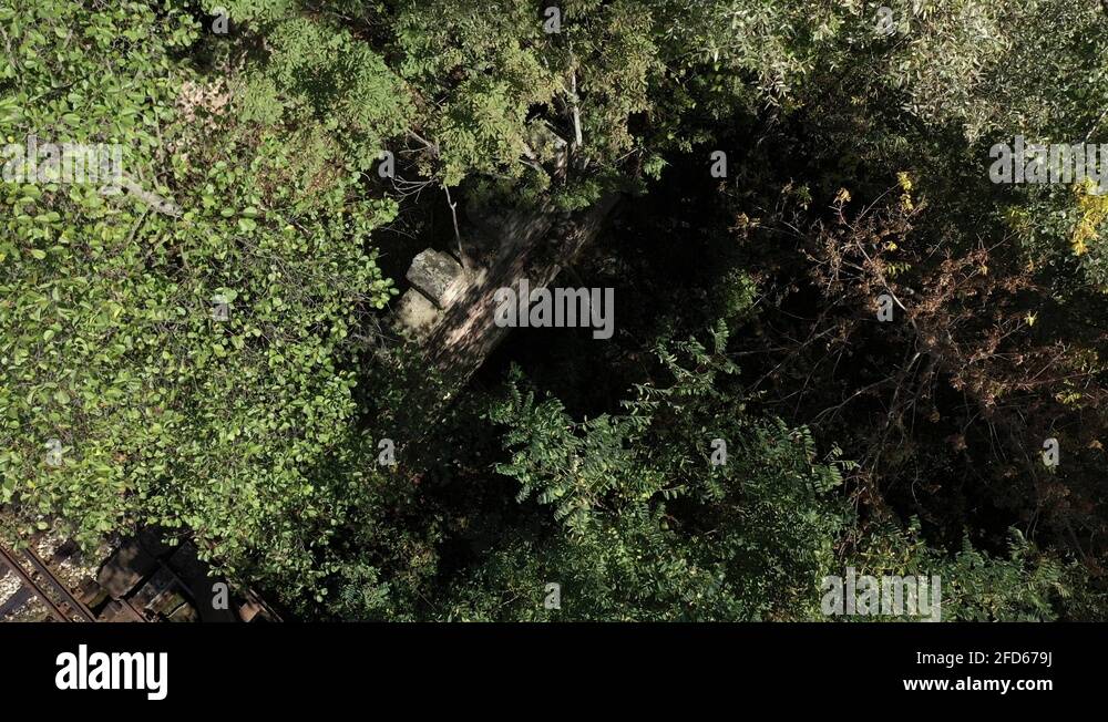 German vegetation Stock Videos & Footage - HD and 4K Video Clips - Alamy