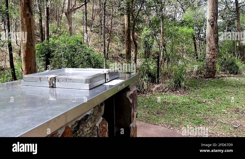 Forest rest area Stock Videos & Footage - HD and 4K Video Clips - Alamy