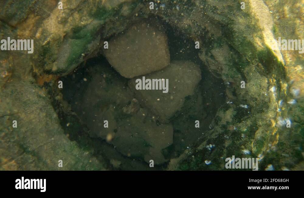 Looking down as bubbles rise from hot springs, underwater, 50fps Stock ...