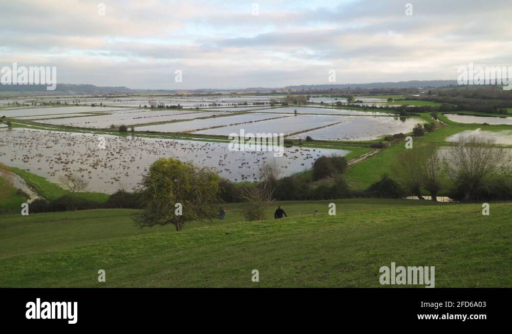 England somerset field Stock Videos & Footage - HD and 4K Video Clips ...