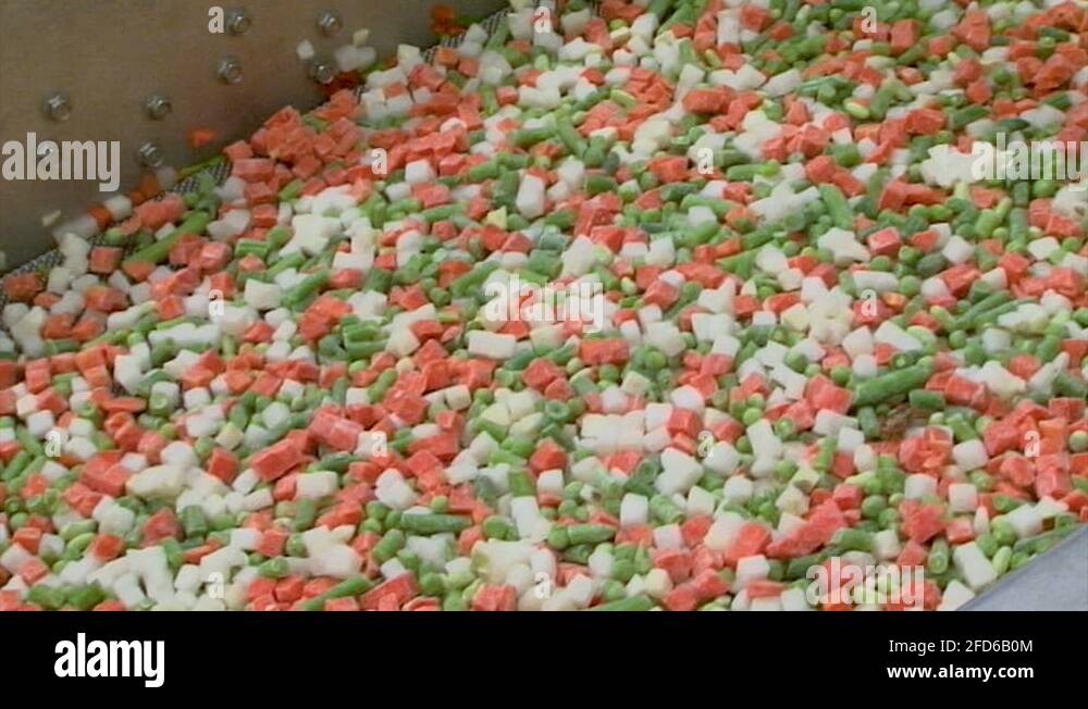 ring foreign objects in the food production line. wooden stick between ...