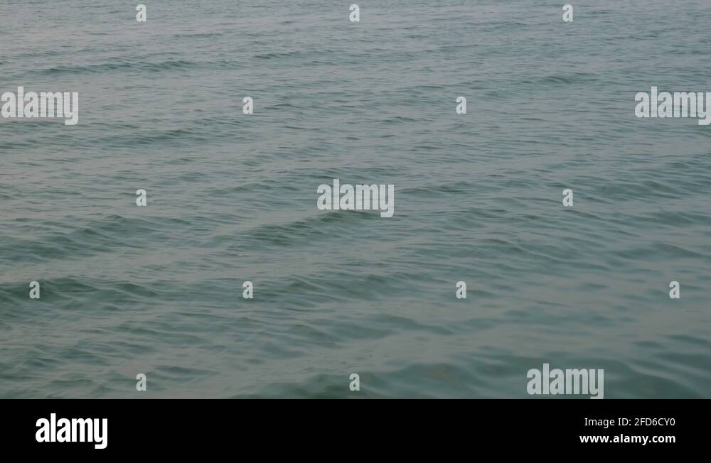 clam motion sea wave surface texture Stock Video Footage - Alamy