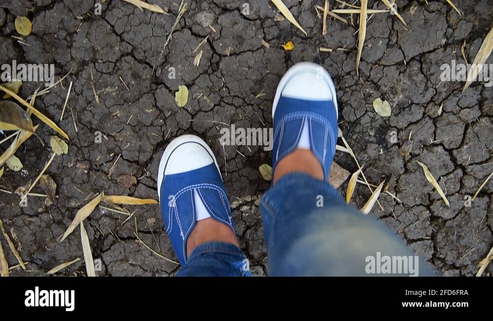 Woman walking back view blur Stock Videos & Footage - HD and 4K Video ...