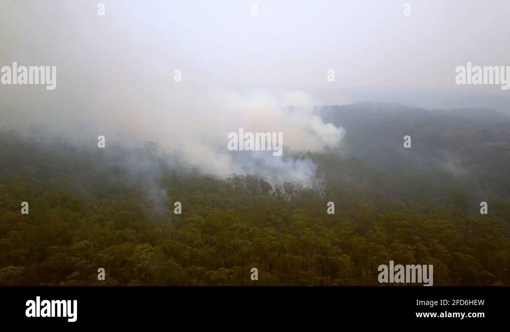 Eucalyptus tree fire Stock Videos & Footage - HD and 4K Video Clips - Alamy