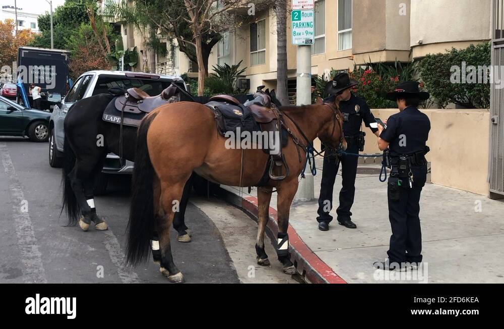 Lapd hollywood Stock Videos & Footage - HD and 4K Video Clips - Alamy