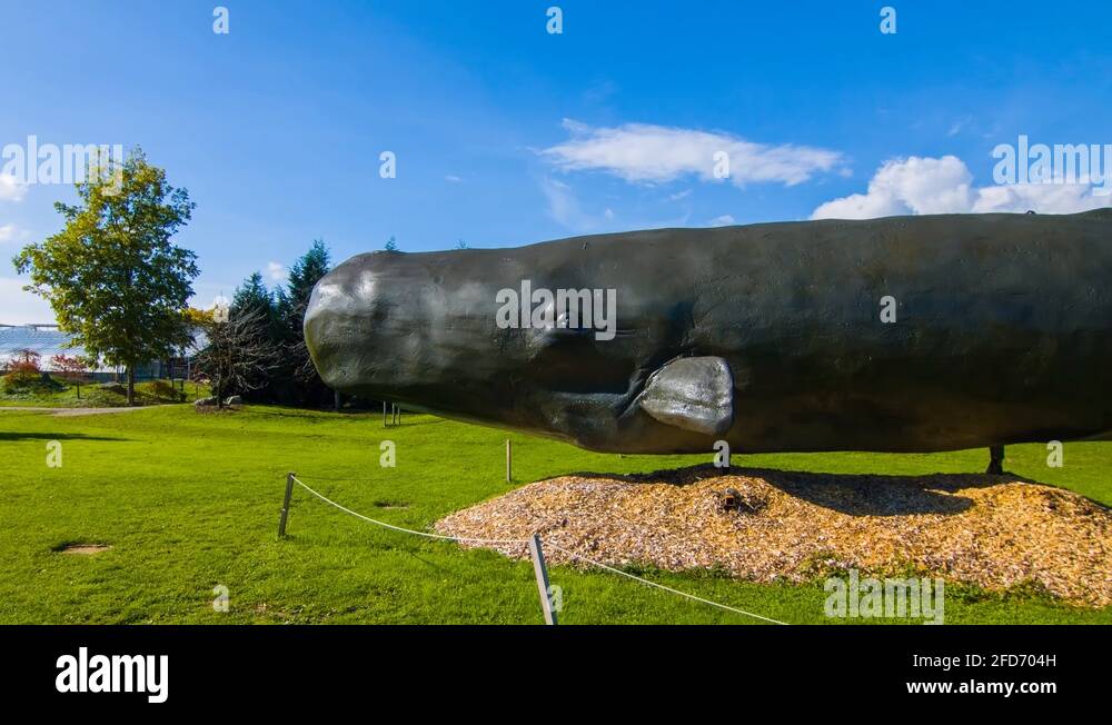 A scale model of a Sperm whale representing the preservation of the ...