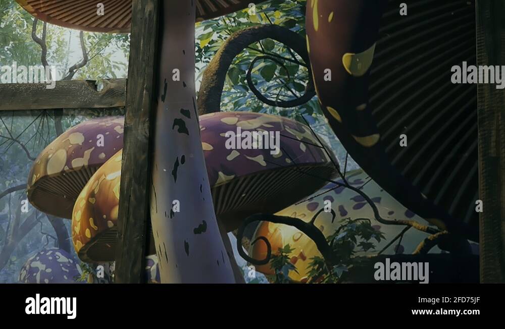 Toadstool pattern Stock Videos & Footage - HD and 4K Video Clips - Alamy