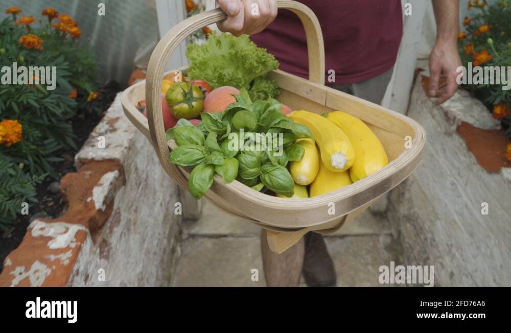 Vegetable box hands Stock Videos & Footage - HD and 4K Video Clips - Alamy