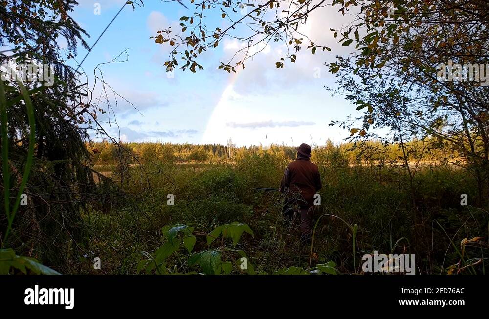 Hunter aiming shotgun in Stock Videos & Footage - HD and 4K Video Clips ...
