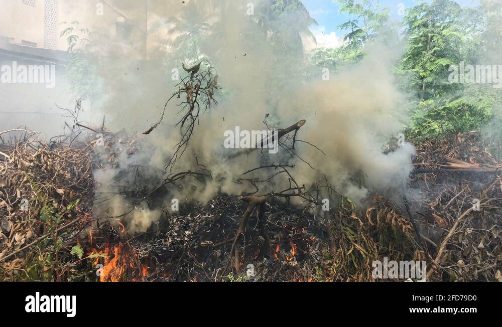 Smoke of fire Stock Videos & Footage - HD and 4K Video Clips - Alamy