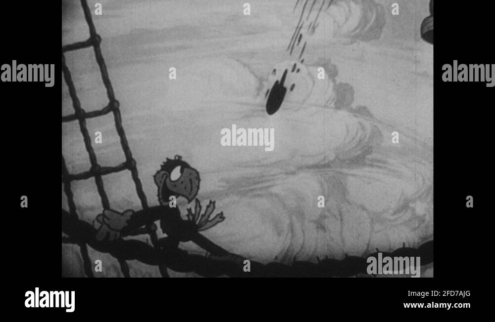 Captain bird Stock Videos & Footage - HD and 4K Video Clips - Alamy