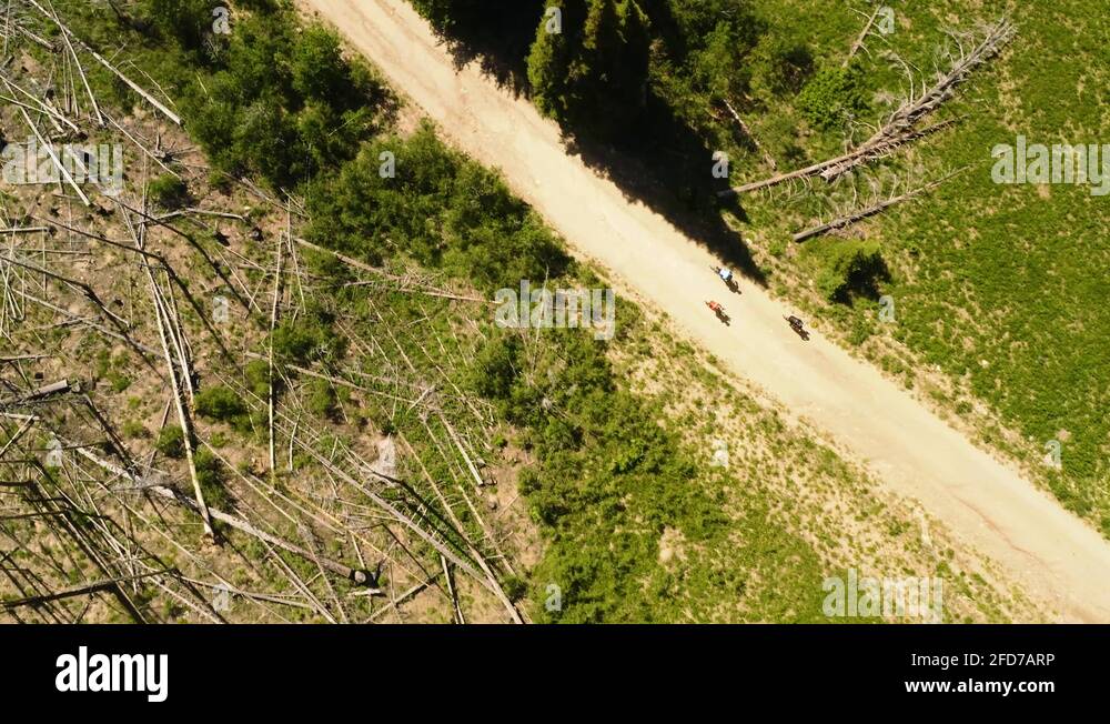 Looking down through trees Stock Videos & Footage - HD and 4K Video ...